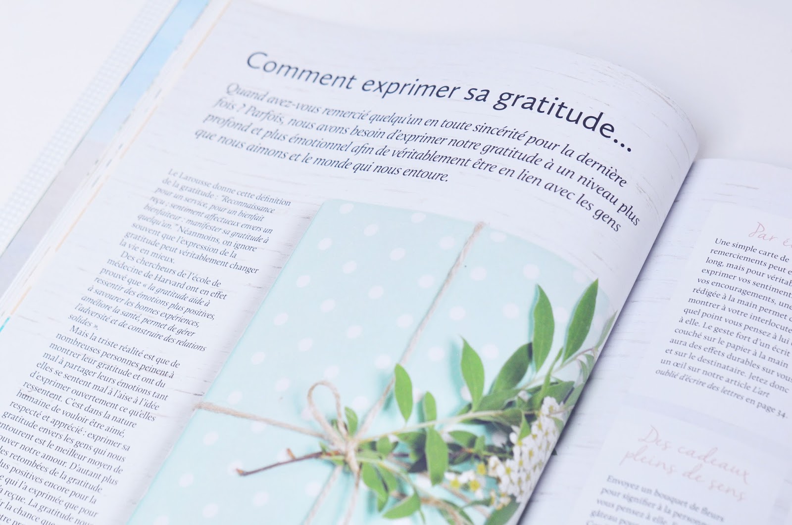 Respire magazine. - Dust & Swallow