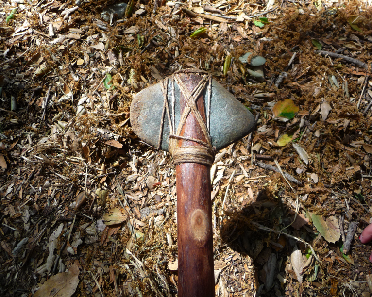 Mrs. Yollis' Classroom Blog: Field Trip Photos for Student Blogger Use