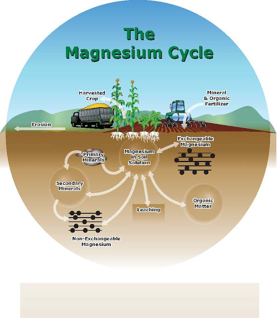 EHSQL(Environment,Health,Safety , Quality & Laboratory) Technical ...
