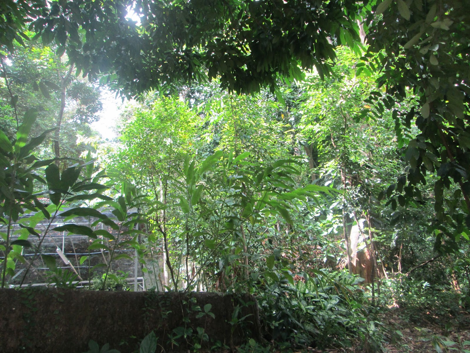 jelajah arkitek: MALAYSIANA (20) DENAI MERAWAN (MERAWAN TRAIL) TAMAN ...