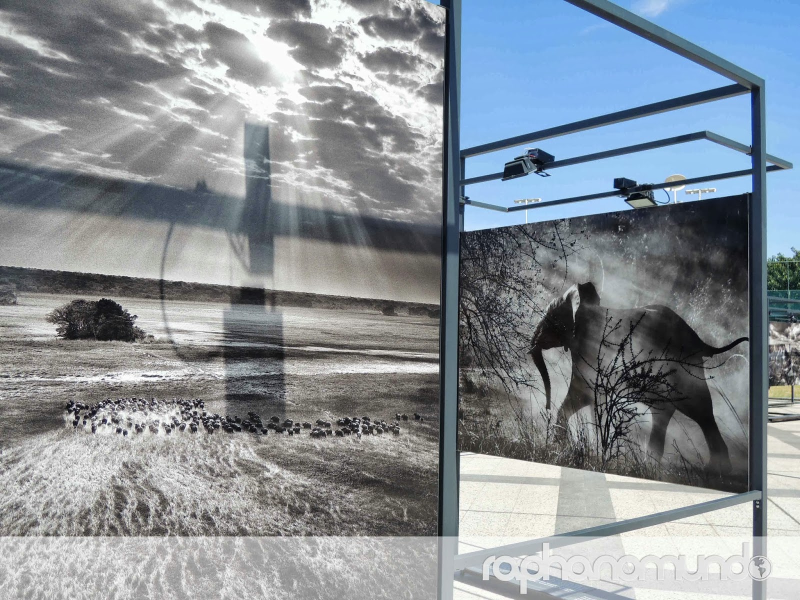 Genesis - Sebastião Salgado