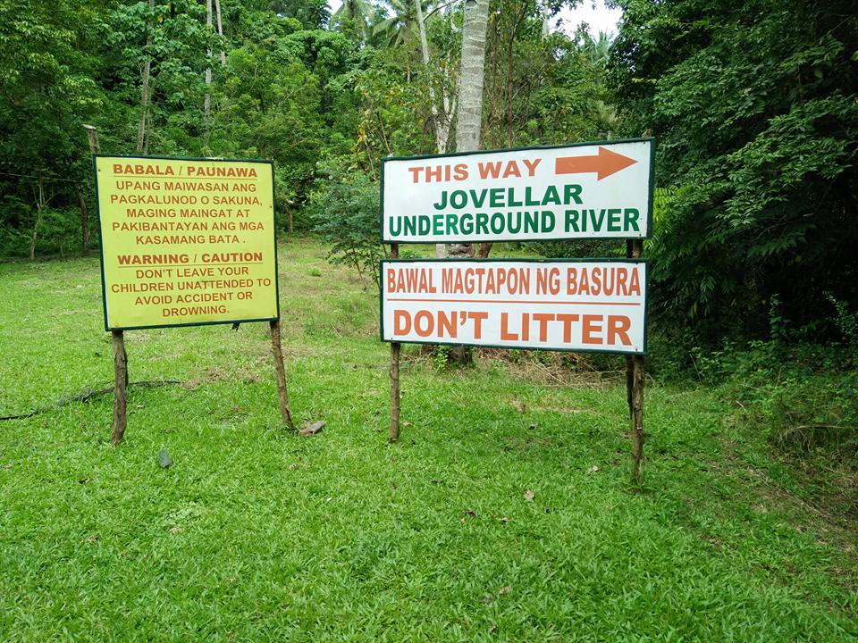 Andrea's Plants, Photos and Travels: Search for Some Waterfalls