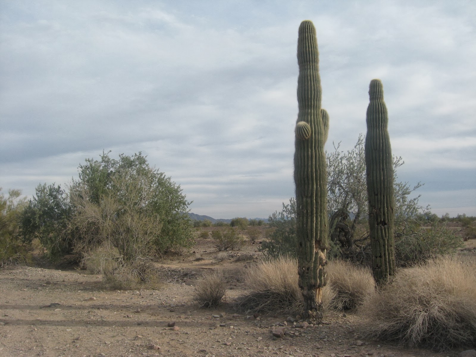 Paul and Ann's Great RV Adventure: Quartzsite to Phoenix International ...