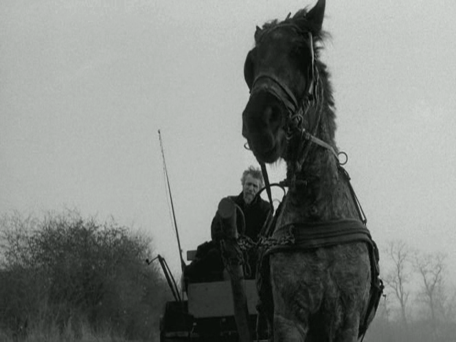 The Turin Horse (2011): Hungarian Master Filmmaker Béla Tarr’s Swan ...