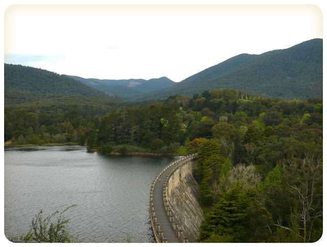 Shara Lambeth Designs: Maroondah Dam