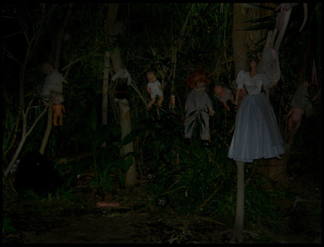 Miedo, Terror y Realidad Sobrenatural: La Isla de las Muñecas una ...