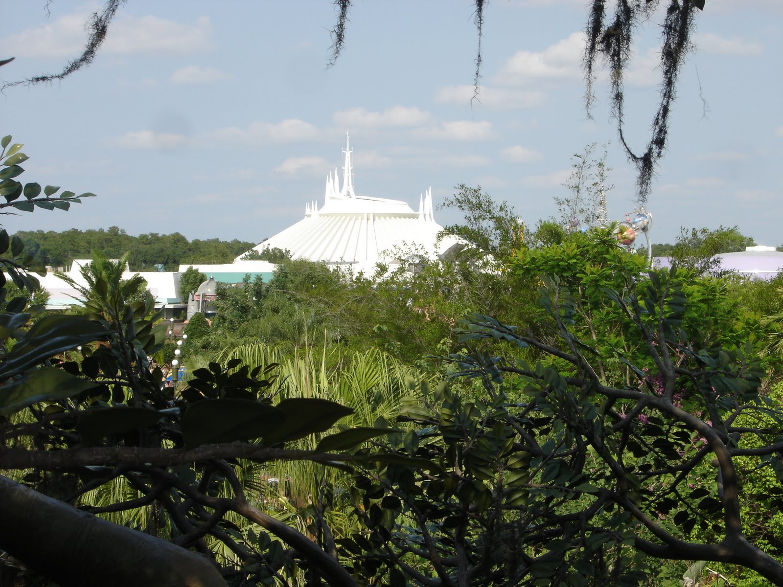 Disney Vacation Kingdom: Swiss Family Robinson Treehouse