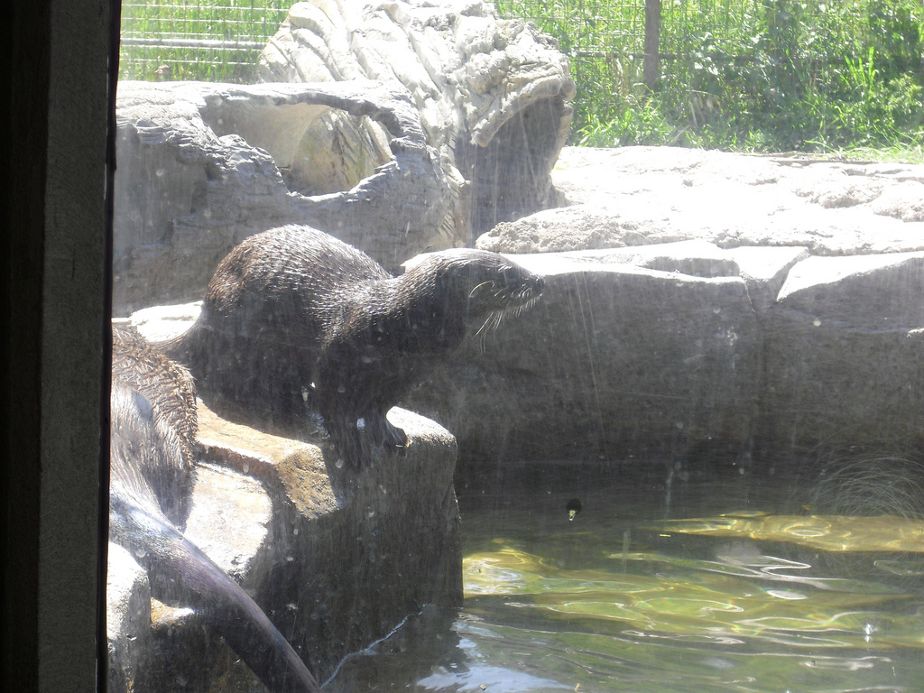 Earth and Space News: Calgary Zoo Determines Unauthorized Pants Caused ...