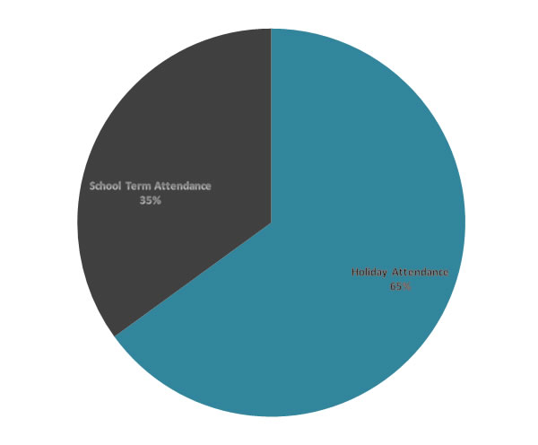 The Roxy Cinema Nowra: Pie chart