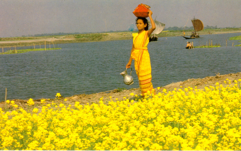 WORLD GEOGRAPHY: The Natural Beauty of Bangladesh