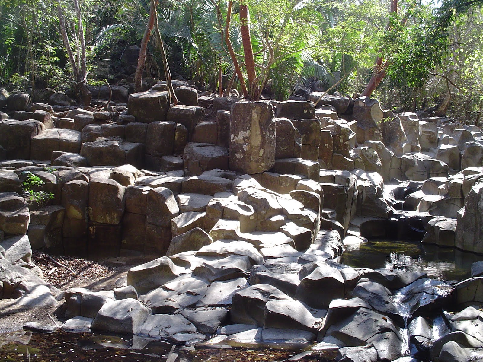 Déjàlà: Altavista Petroglyphs