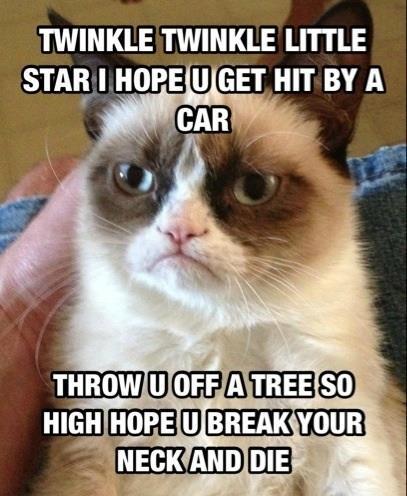 Grumpy Cat: Twinkle Twinkle