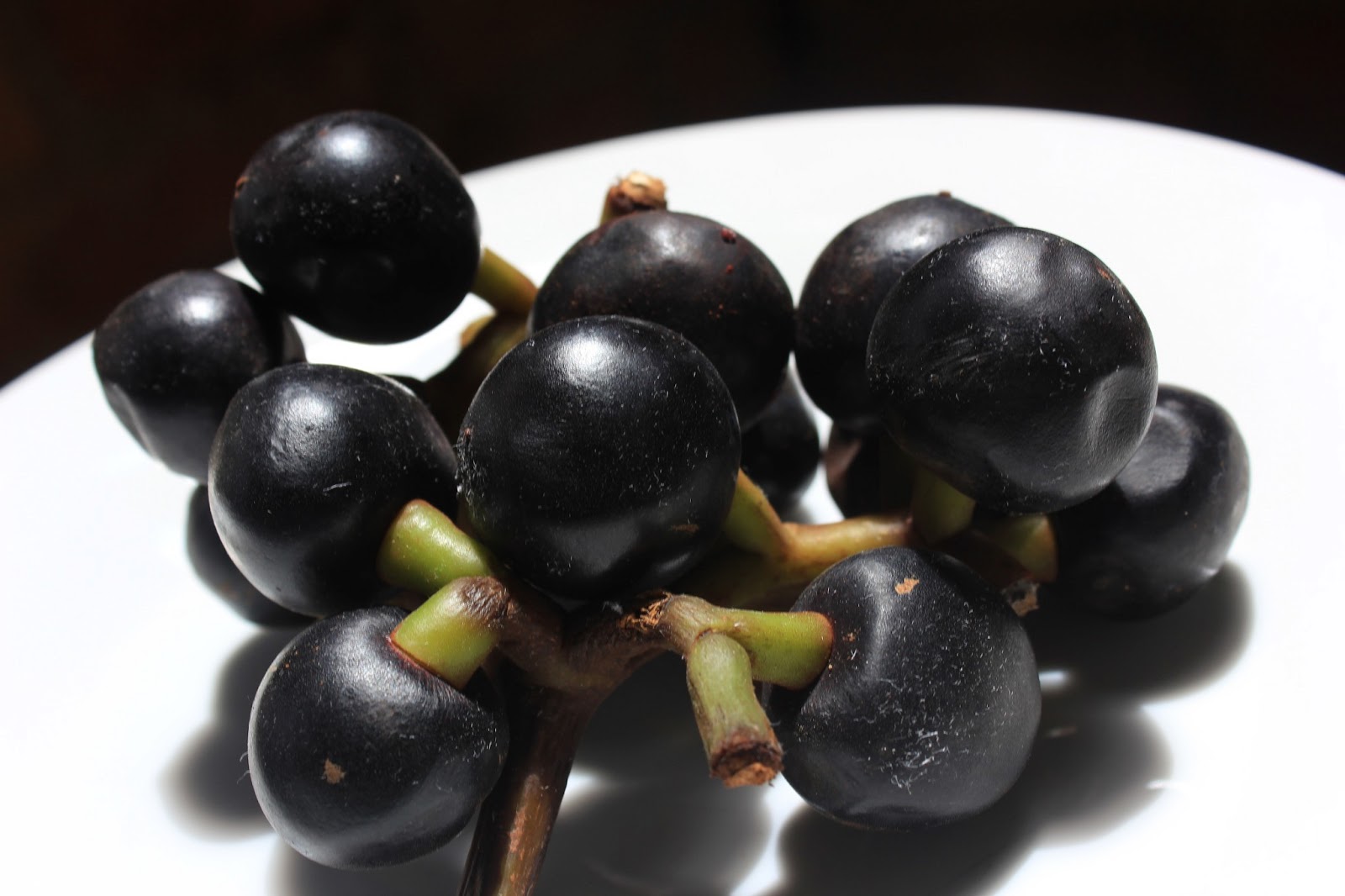 Sabores de América: Uva amazónica