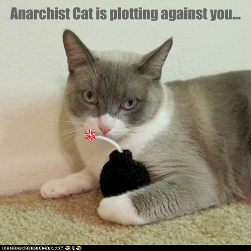 The Streetlamp Doesn't Cast Her Shadow Anymore: Cats for Chaos! An ...