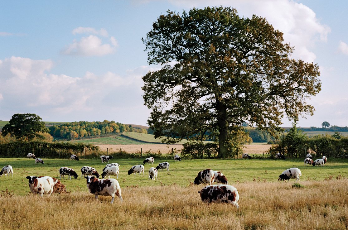 loveisspeed.......: INSIDE LORD JACOB ROTHSCHILD’S MONOLITHIC ENGLISH ...