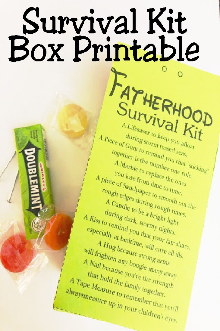 DIY Party Mom: Fatherhood Survival Kit Perfect for a Father's Day Gift