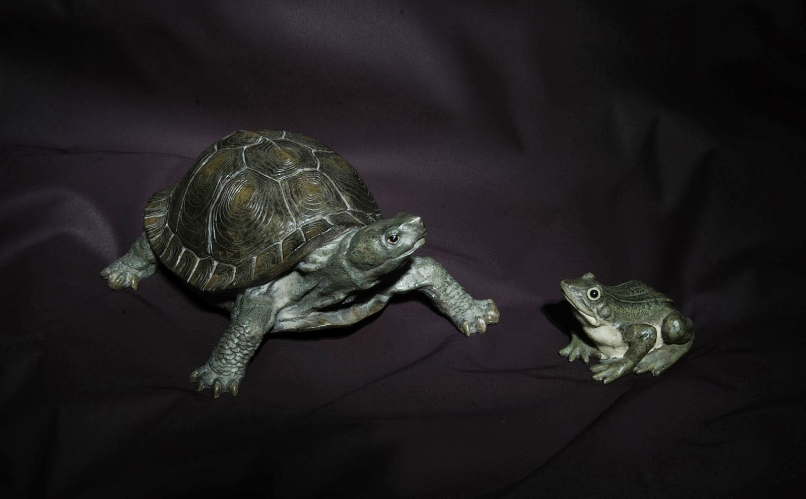 Tortuga, ranas y Extraña primavera | Fotografía Demetrio Fernández