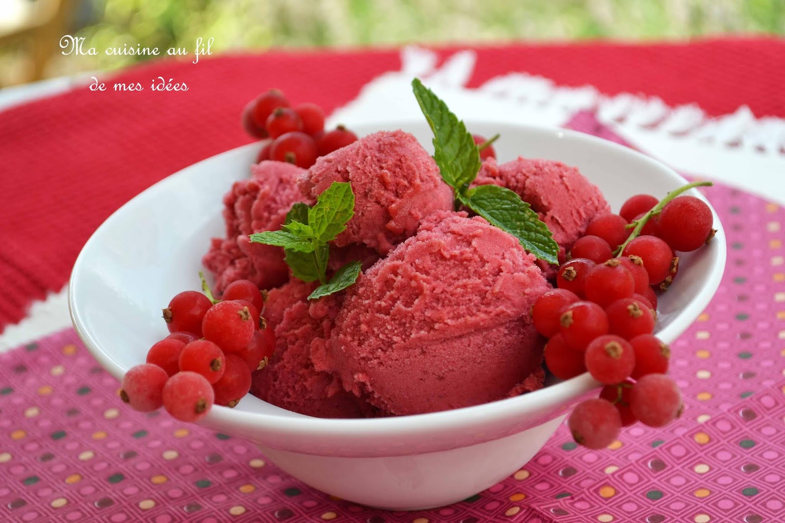 Ma cuisine au fil de mes idées...: Sorbet aux groseilles rouges ...