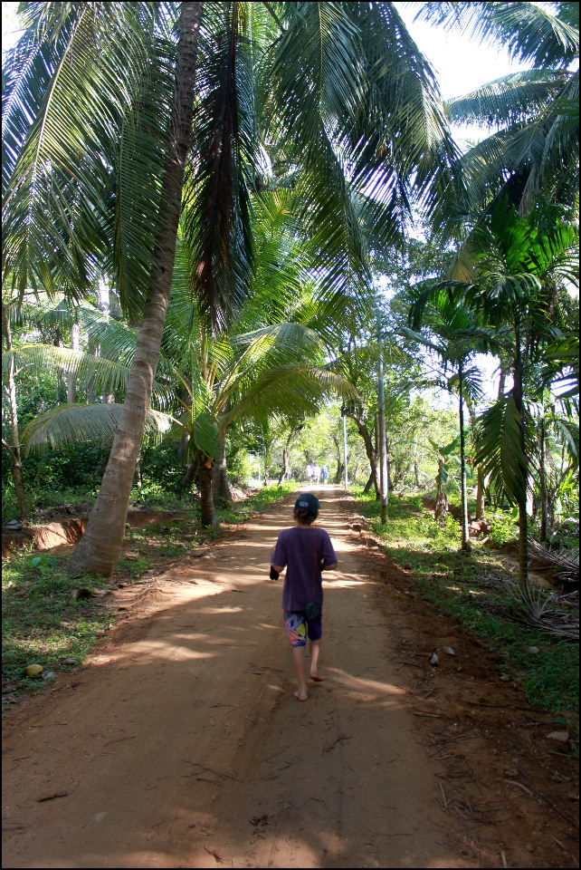 Our Journey: Andaman Islands continued-Neil Island-where the trees talk ...