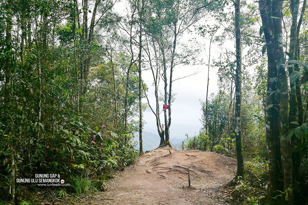 Gunung GAP＋Gunung Ulu Semangkok 福隆港苔藓森林双峰游 - 乐飞翎 ♥ LUVFEELIN