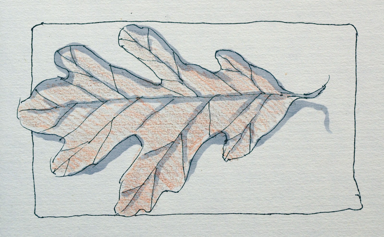 ARTIQUERYROSE: INK AND COLOR PENCIL LEAF