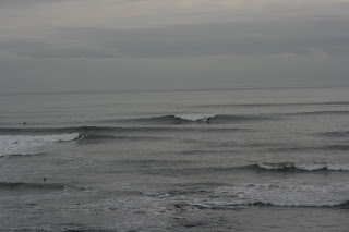 Suburban Flyman - watery diary of a north Bristol surfing angler ...
