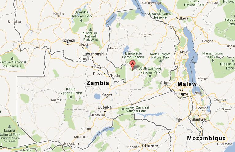 Aileen Moves to Zambia to Chase Baboons: Kasanka National Park