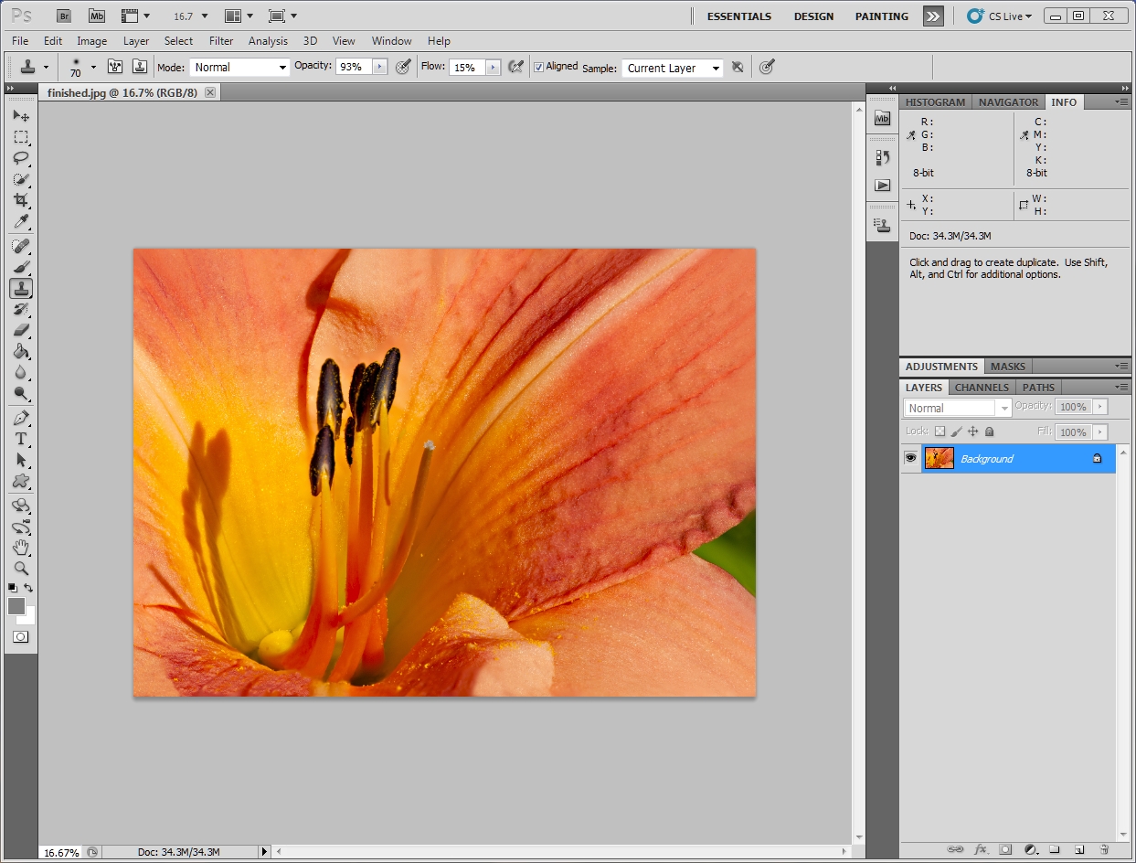 The Pixel Diarist: Focus Stacking