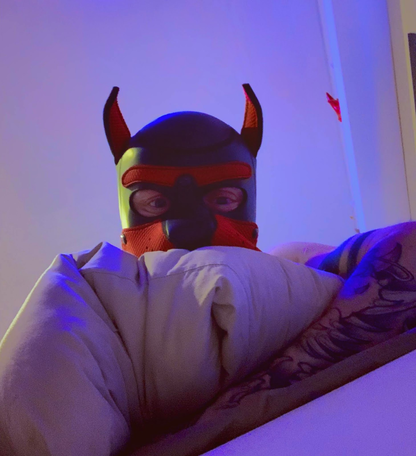 Smitana photoblog: Jredvbj