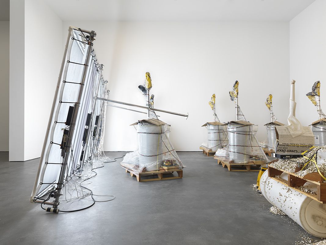 a f a s i a: Jason Rhoades