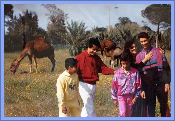 No PC Views: Dictators Lions