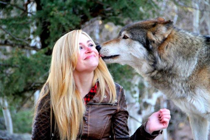White Wolf : Get Up Close and Personal with Wolves at Colorado Wolf and ...