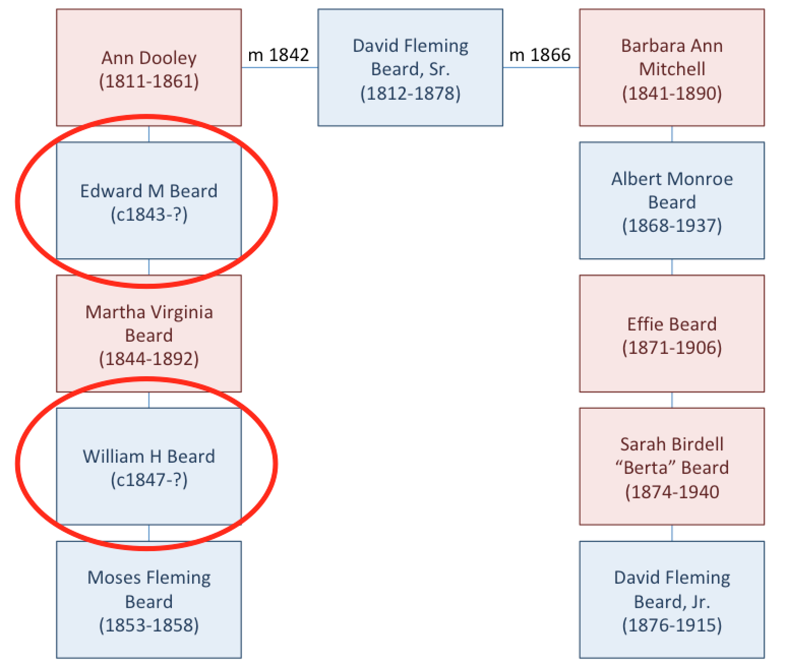 Tangled Roots and Trees: Did These Beard Brothers Die in the Civil War?