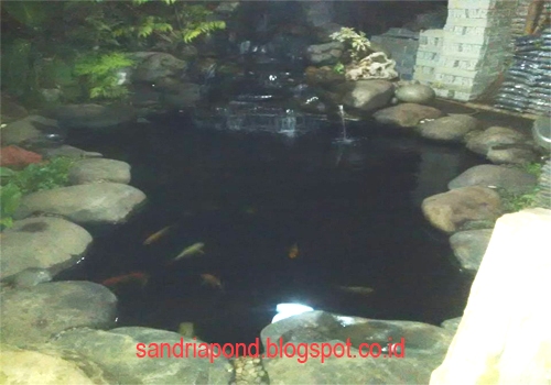 PROFESIONAL KOLAM KOI: KOLEKSI KOLAM KOI BARU