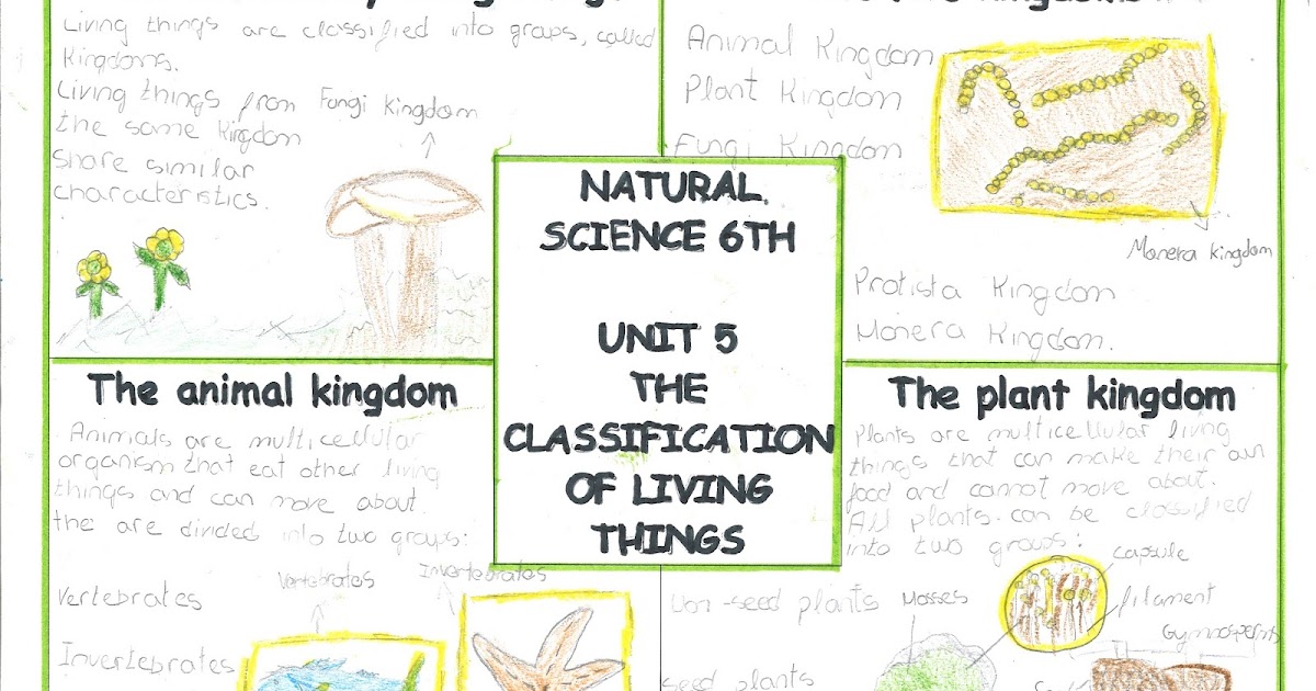 El cuaderno del maestro: Unit 5 The classification of living things
