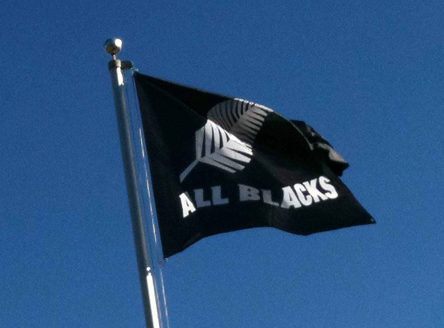 TravelSkite: So it begins...