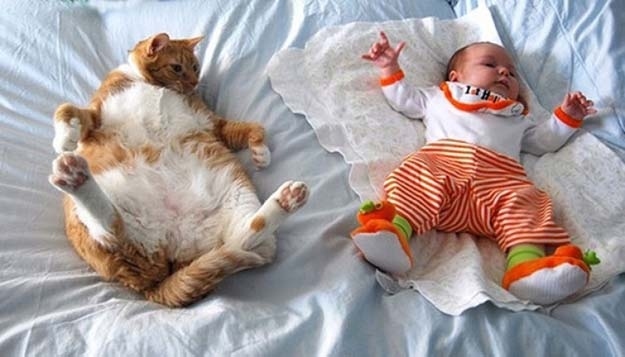 The Top 24 Cutest Pictures Of Cats And Babies - cute baby pictures ...