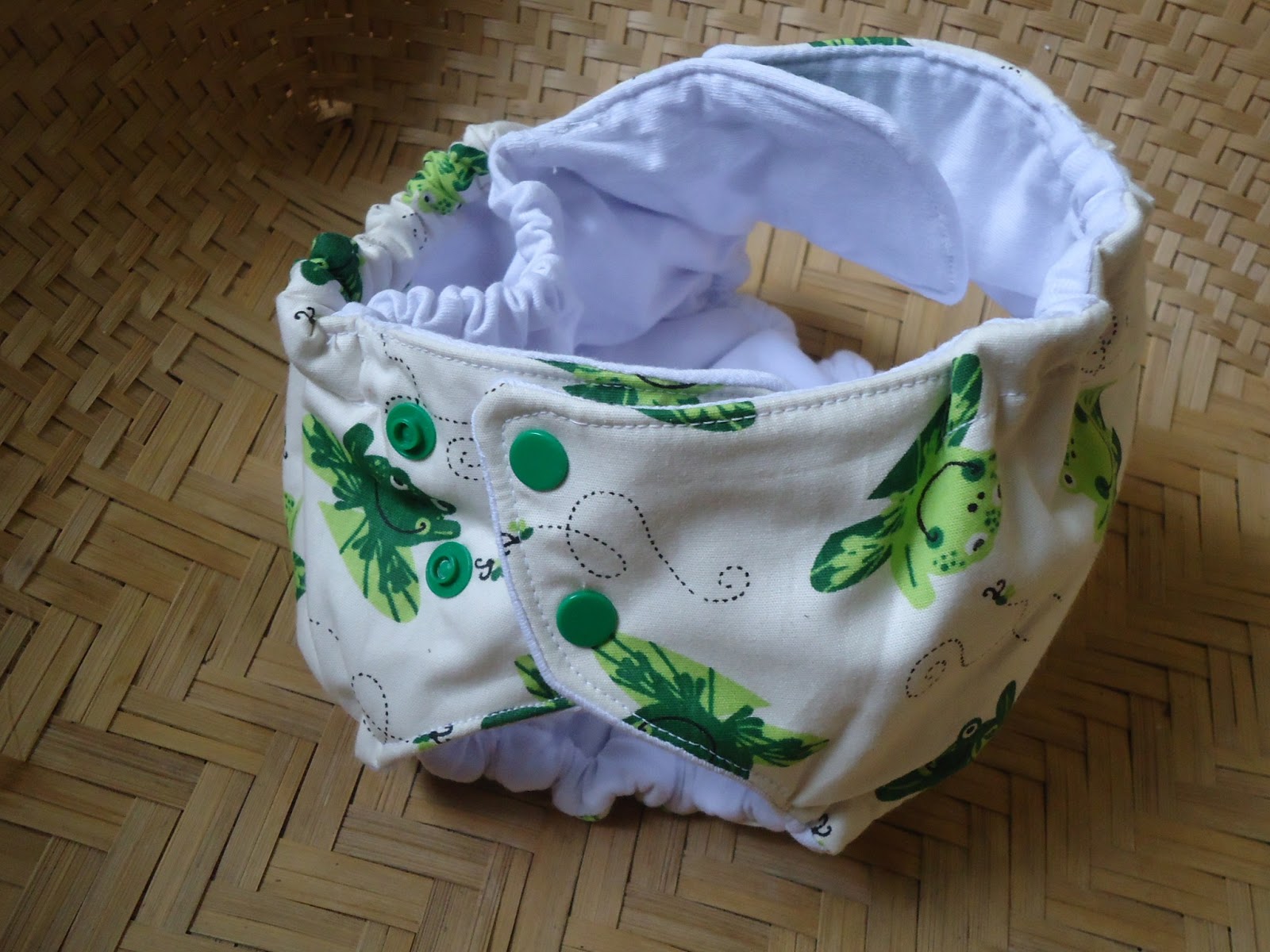 Fraldas Ecológicas: Fraldas de pano modernas (ecológicas)