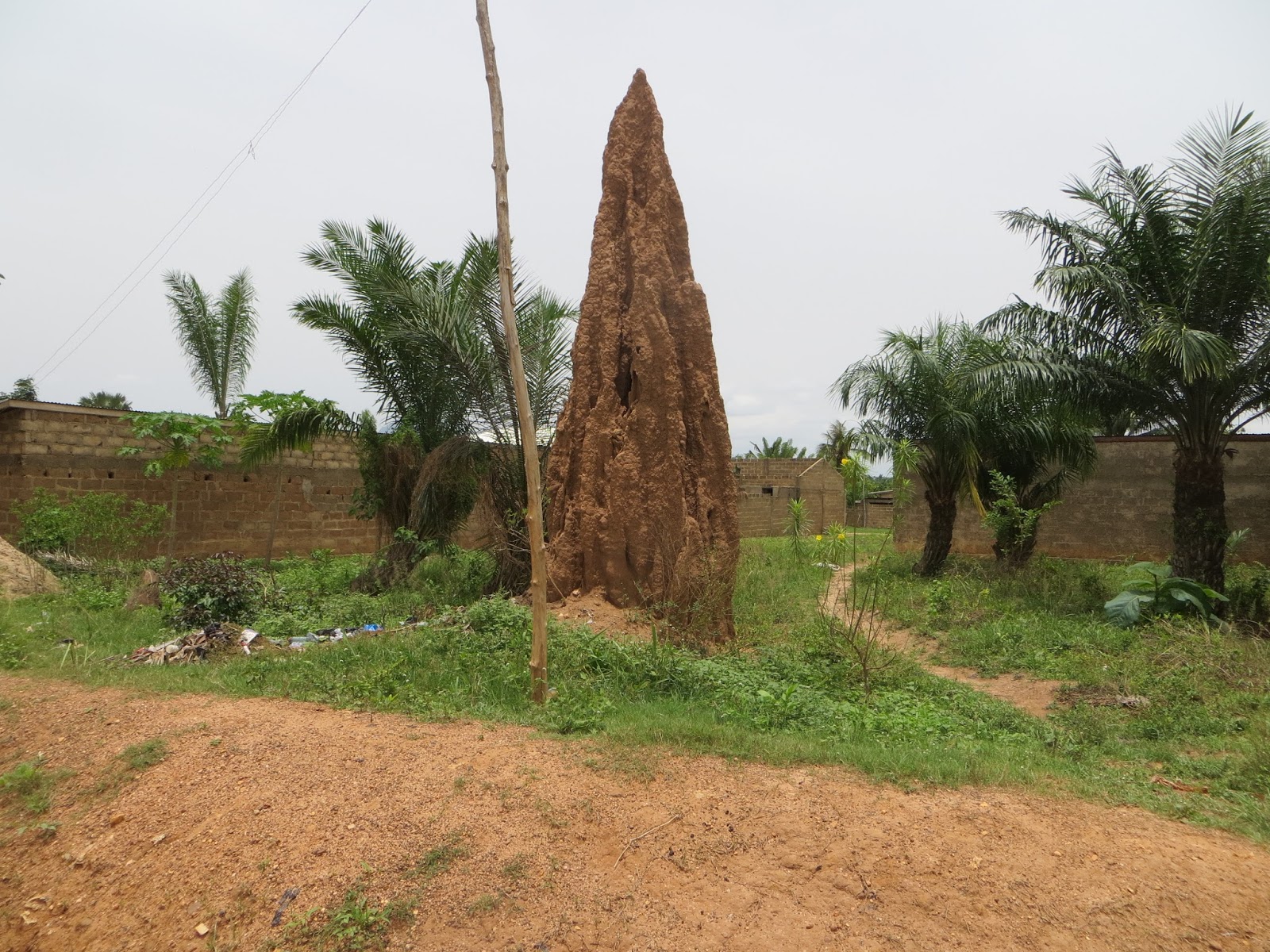SCAW Live Reports Blog: Togo: The People, Places, Sights and Sounds of ...