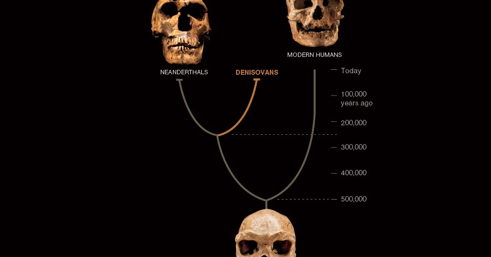 Mysterious Ancient Human - Denisova Hominins Travelled From Northern ...