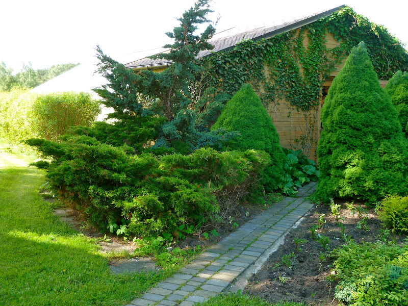 Astrid's Garden Design: Triangles, Circles and Squares - oh my!