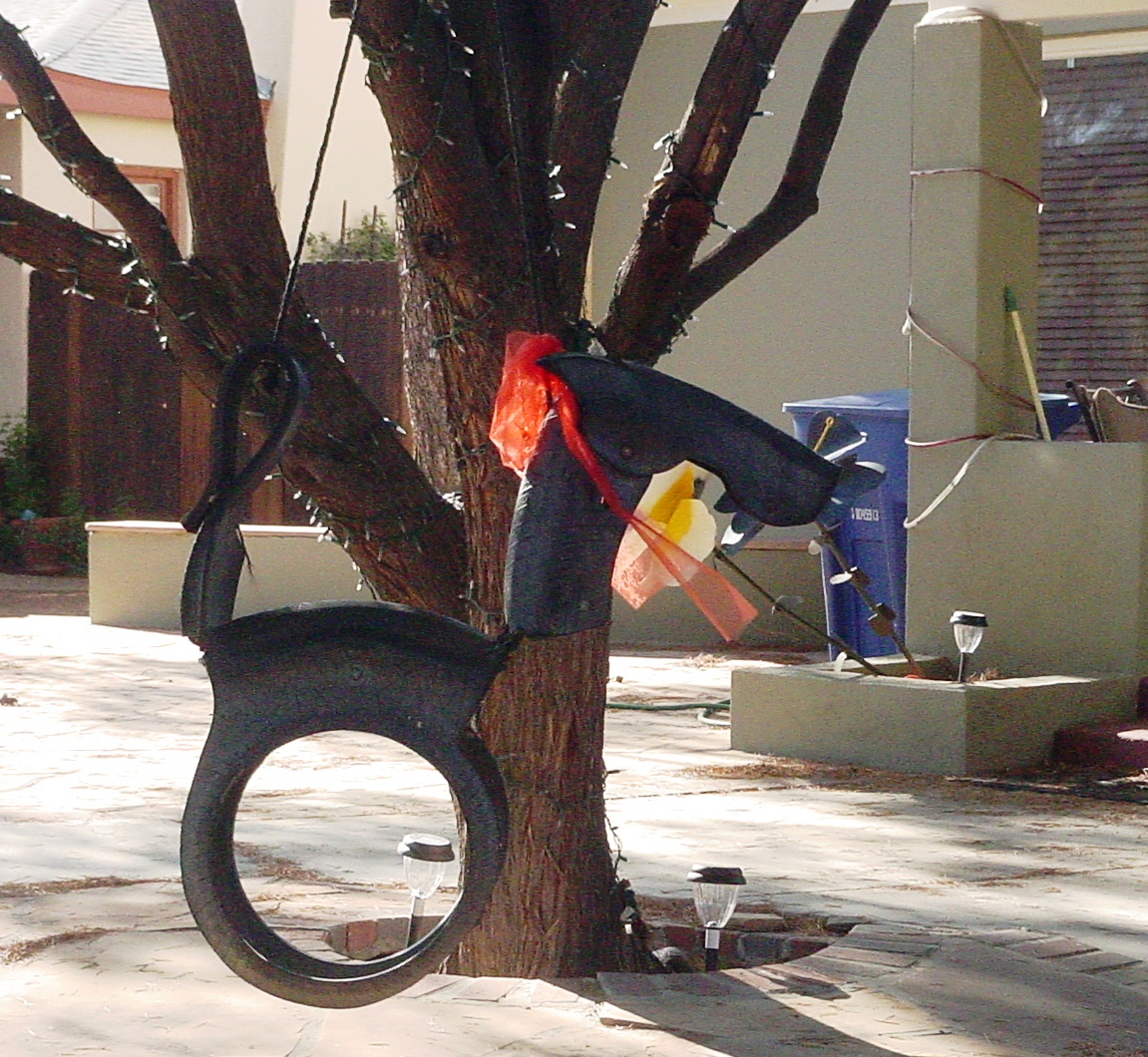 Tucson Daily Photo ~: Horse tire swing