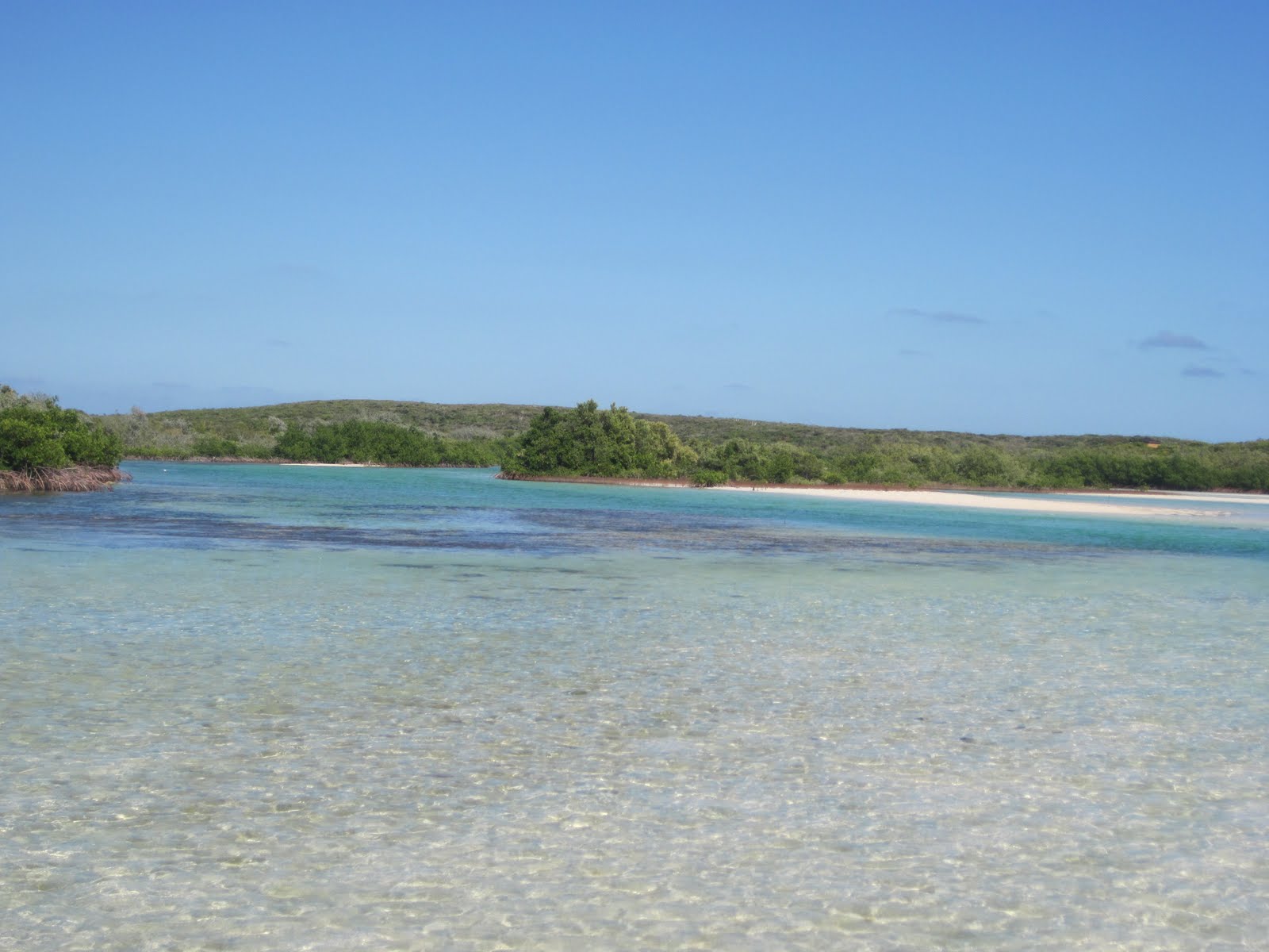Adventures of the Yacht White Pepper: Rum Cay