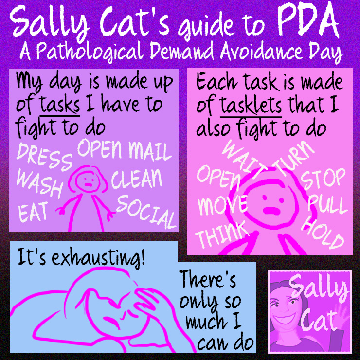 Sally Cat PDA: Memes About Demand Avoidance