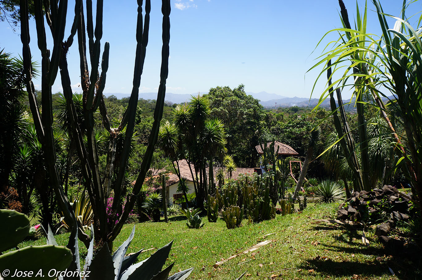 El Jardín de la Barrosa: Viajes recientes. Jardines tropicales: El ...