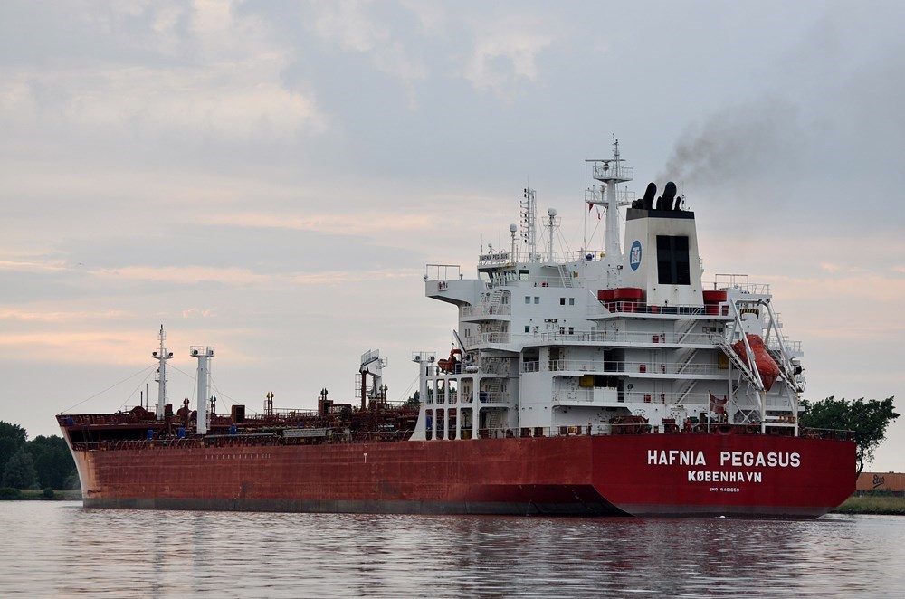 HAFNIA PEGASUS