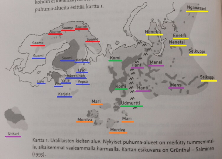 Why is Finnish so Different