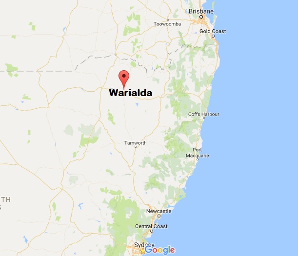 Genies Down Under: How to remove that pesky search-highlighting in your ...