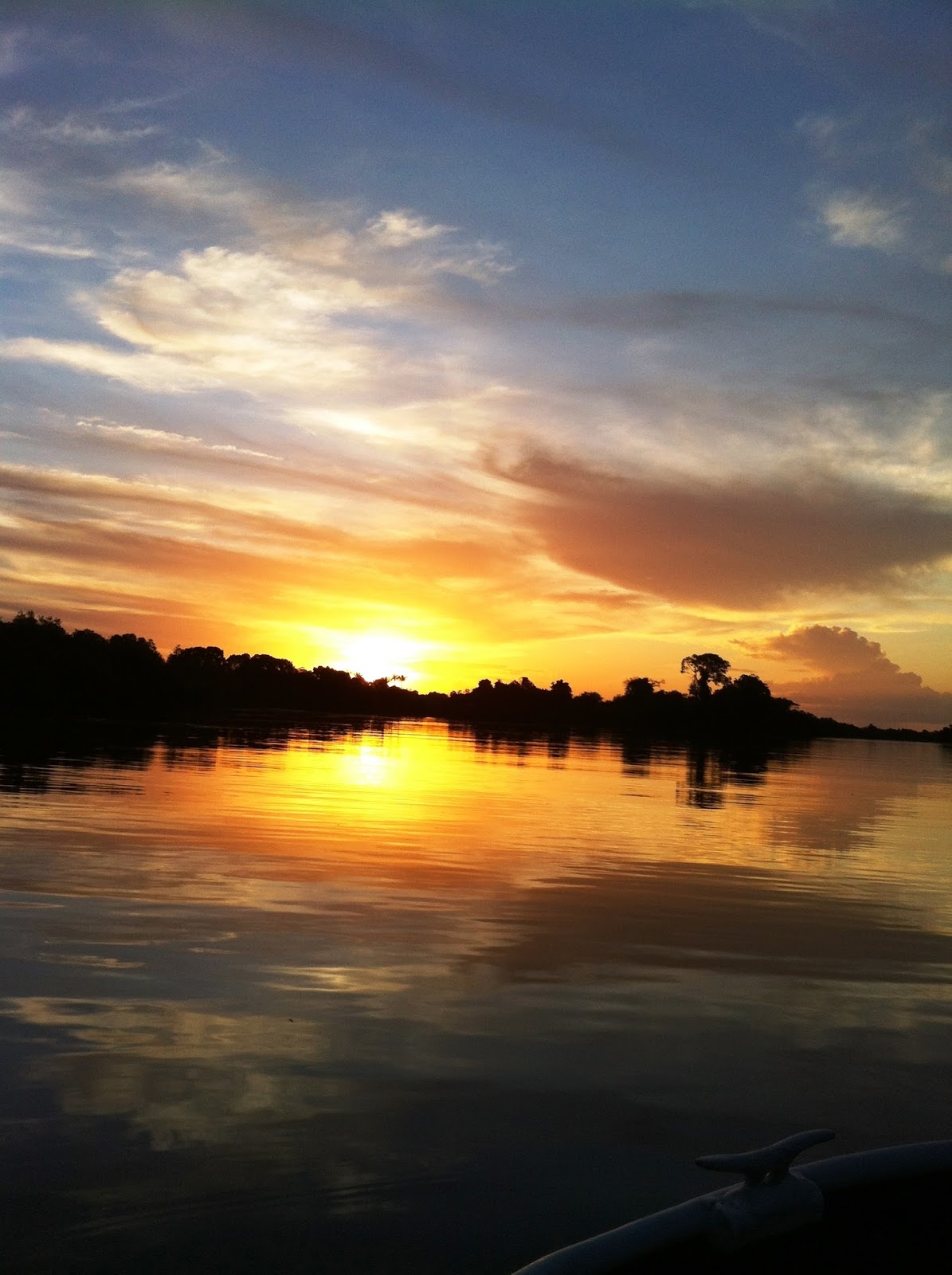 O cão que fuma...: Imagens do Rio Negro