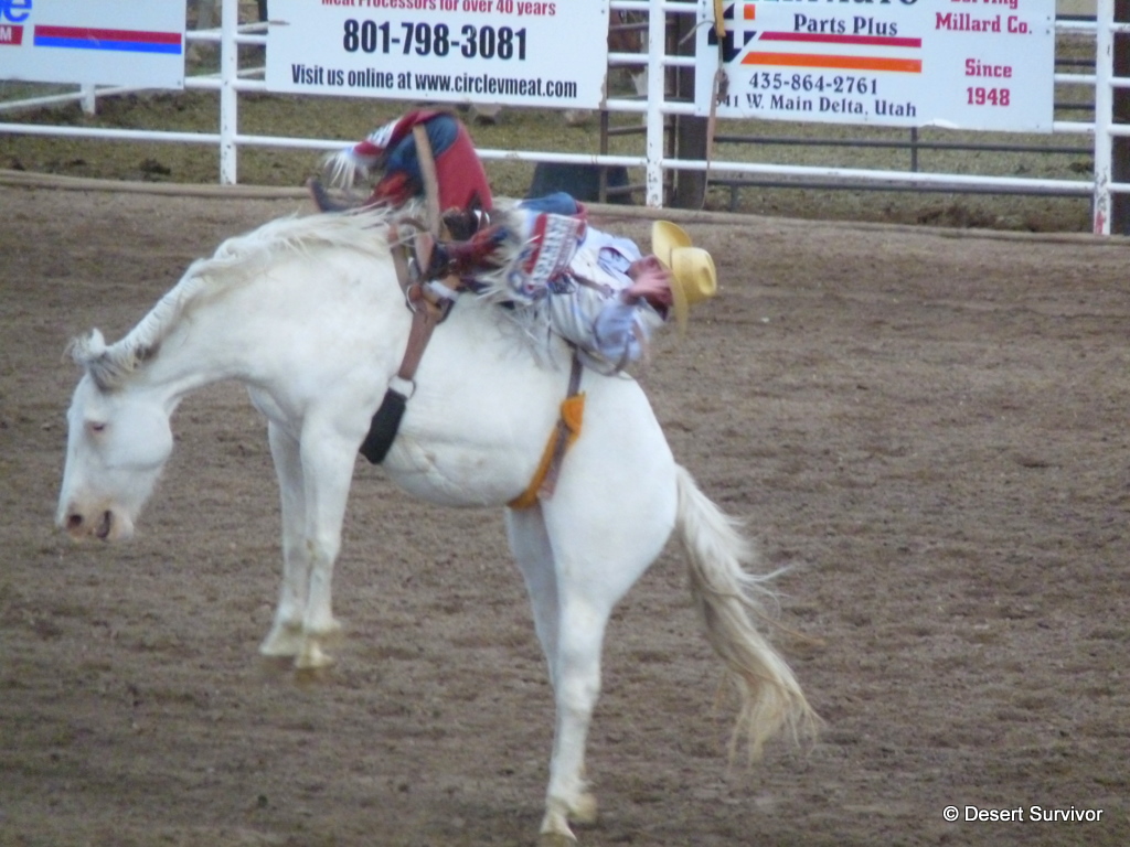 Desert Survivor: Rodeo Fun
